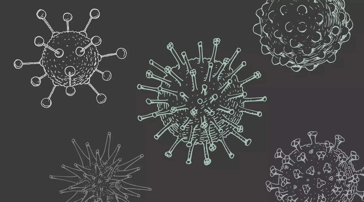 Is a Virus a Living Thing? The Life Cycle of a Virus - Molekule