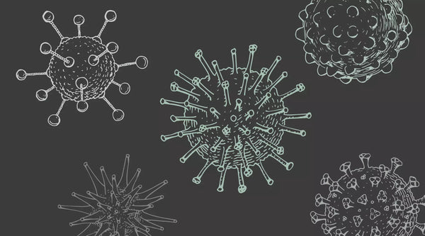 Is a Virus a Living Thing? The Life Cycle of a Virus - Molekule