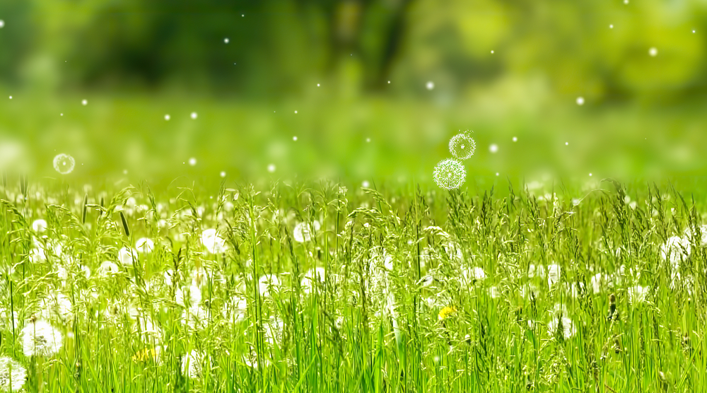 Grass and Pollen Allergy Symptoms - Molekule