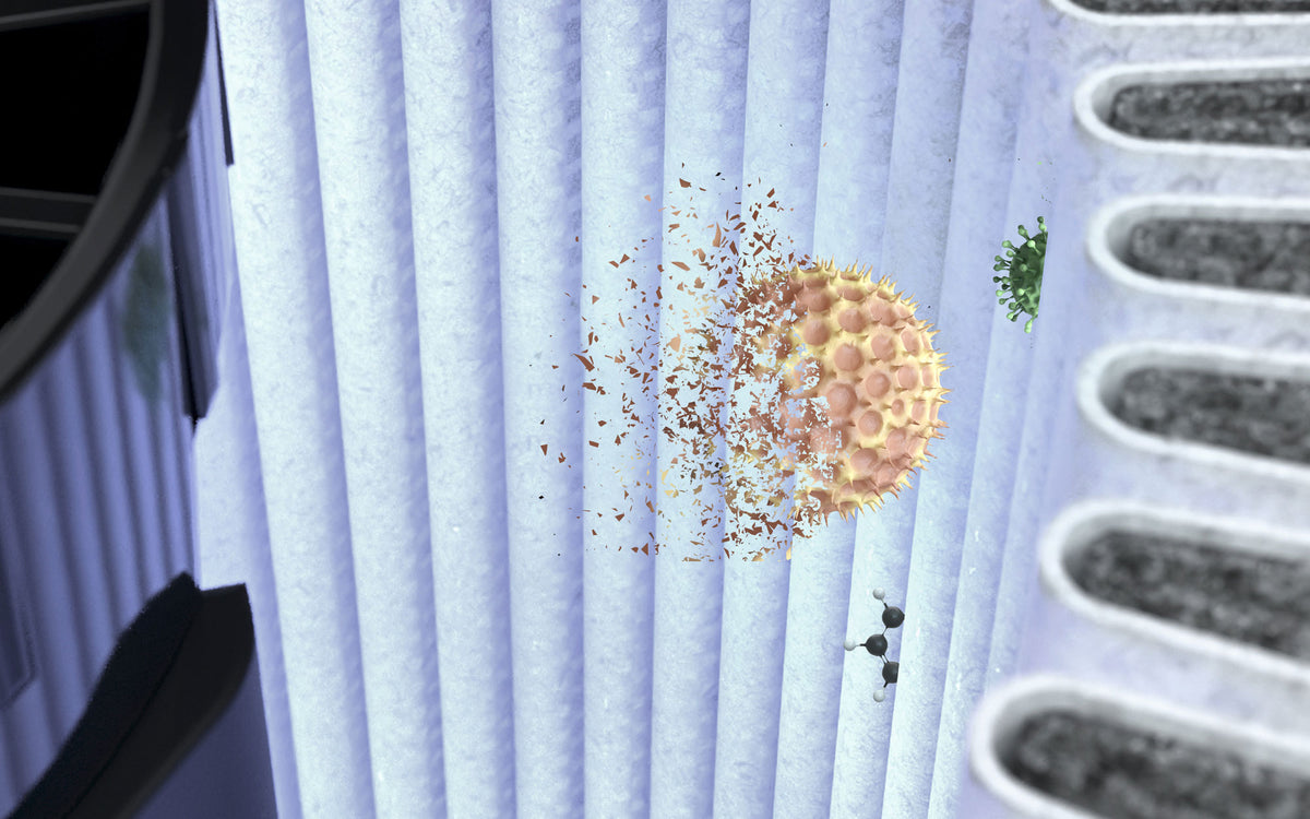 What You Should Know About Air Quality Before Buying an Air Purifier ...