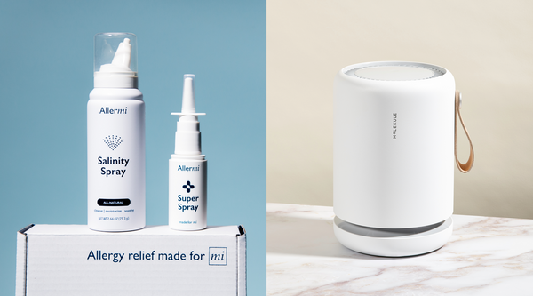 Breathe Easy: How Allermi and Molekule Team Up to Combat Indoor Allerg