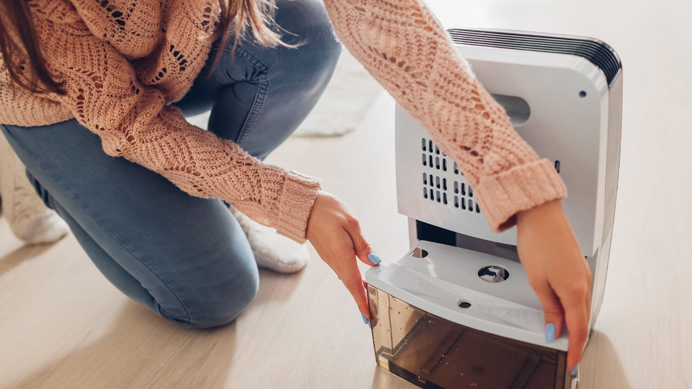 How to Clean a Humidifier or Dehumidifier: Mold Prevention - Molekule