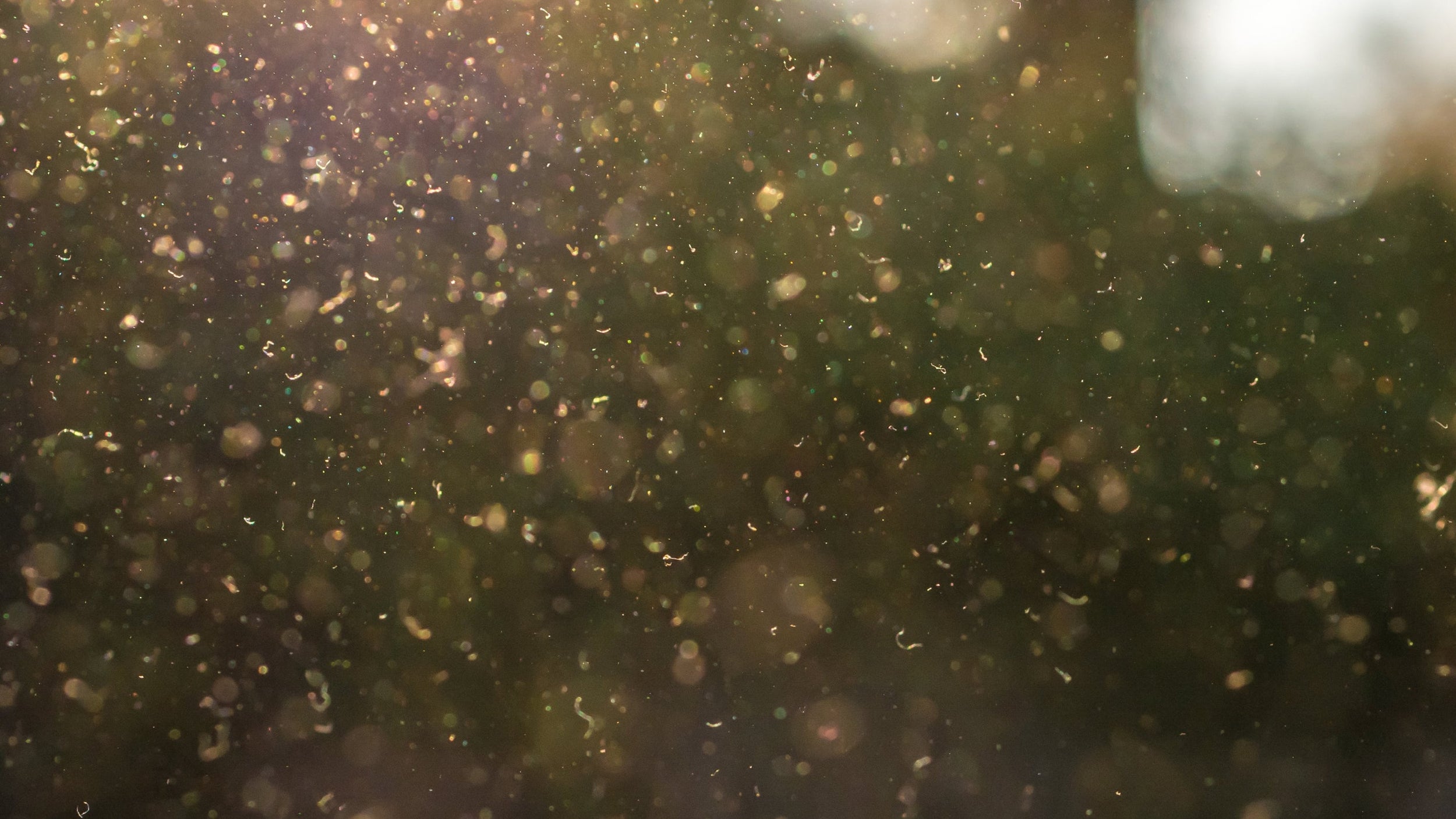 What is Dust Made of? Dust Particle Sizes & Composition - Molekule