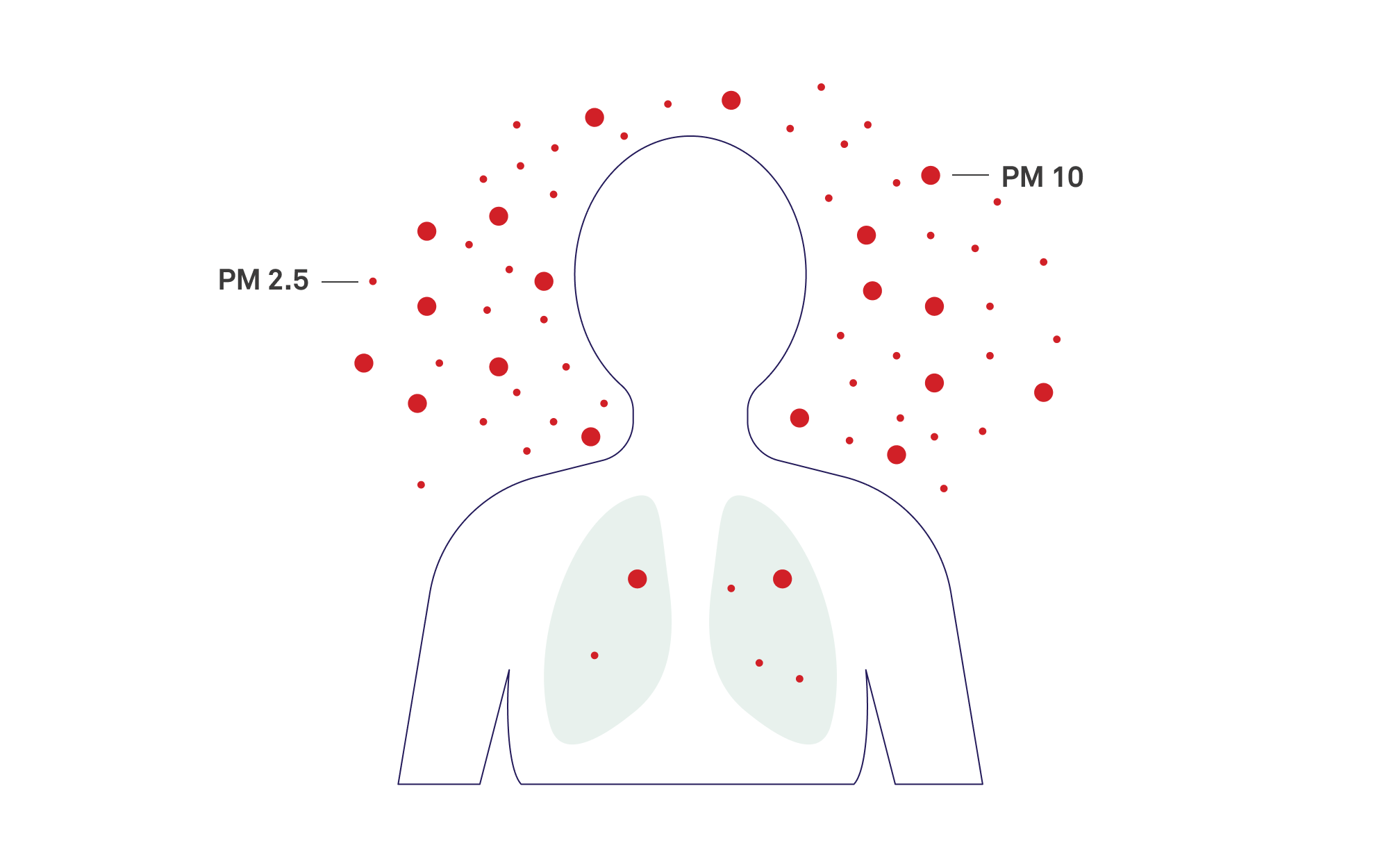 Coarse vs Fine Particle Pollution: PM10, PM2.5 and Beyond - Molekule