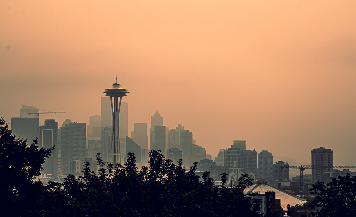 What does wildfire smoke smell like? - Molekule