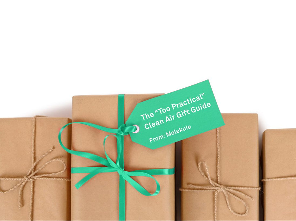 The “Too Practical” Clean Air Gift Guide - Molekule