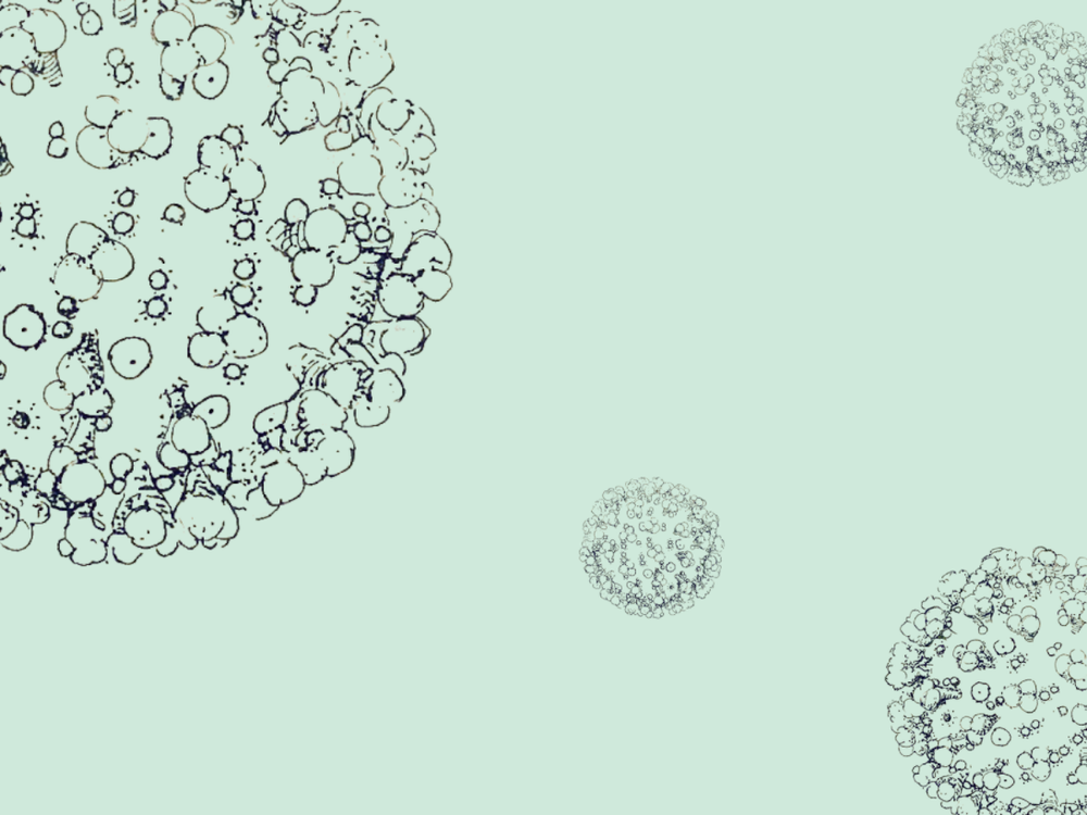 Molekule Mini inactivates strains of airborne animal coronavirus and ...