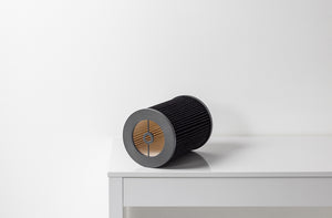 Can an Ionizer Air Purifier Actually Kill Mold? - Molekule