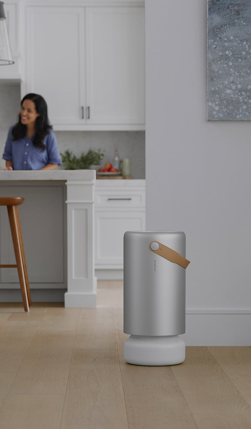 Air Purifiers for Your Home & Office | Molekule