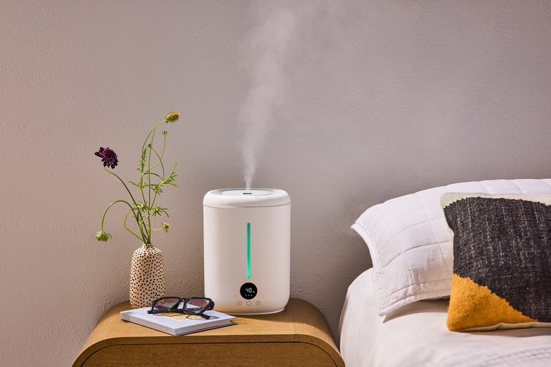 How to Prevent Dust Buildup on Furniture: Solutions - Molekule