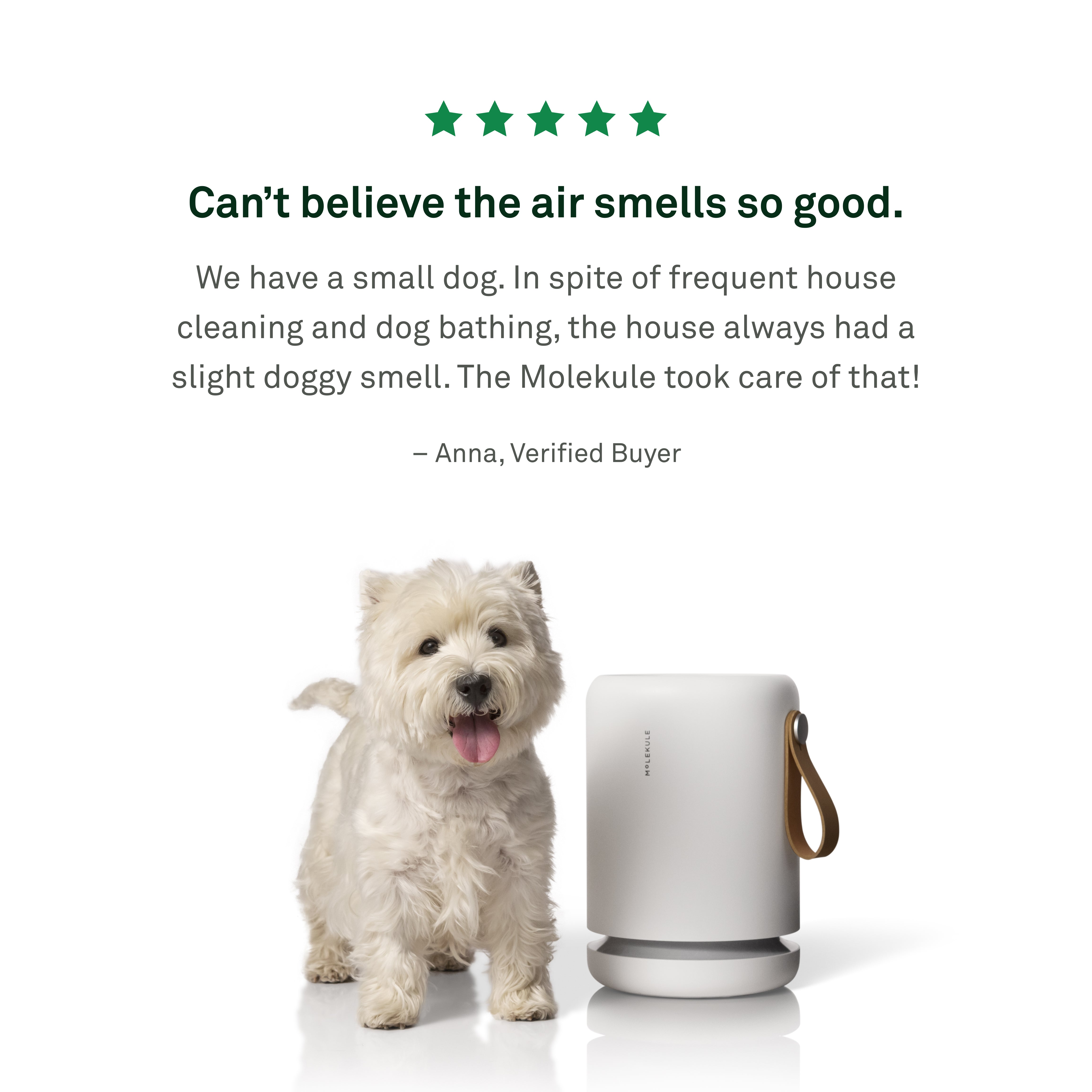 Air Mini+ Purifier | The Best PECO-HEPA Air Cleaner for Bedrooms - Molekule