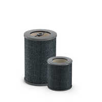 Ozone Removal Methods: Filters to Use in Your Home - Molekule