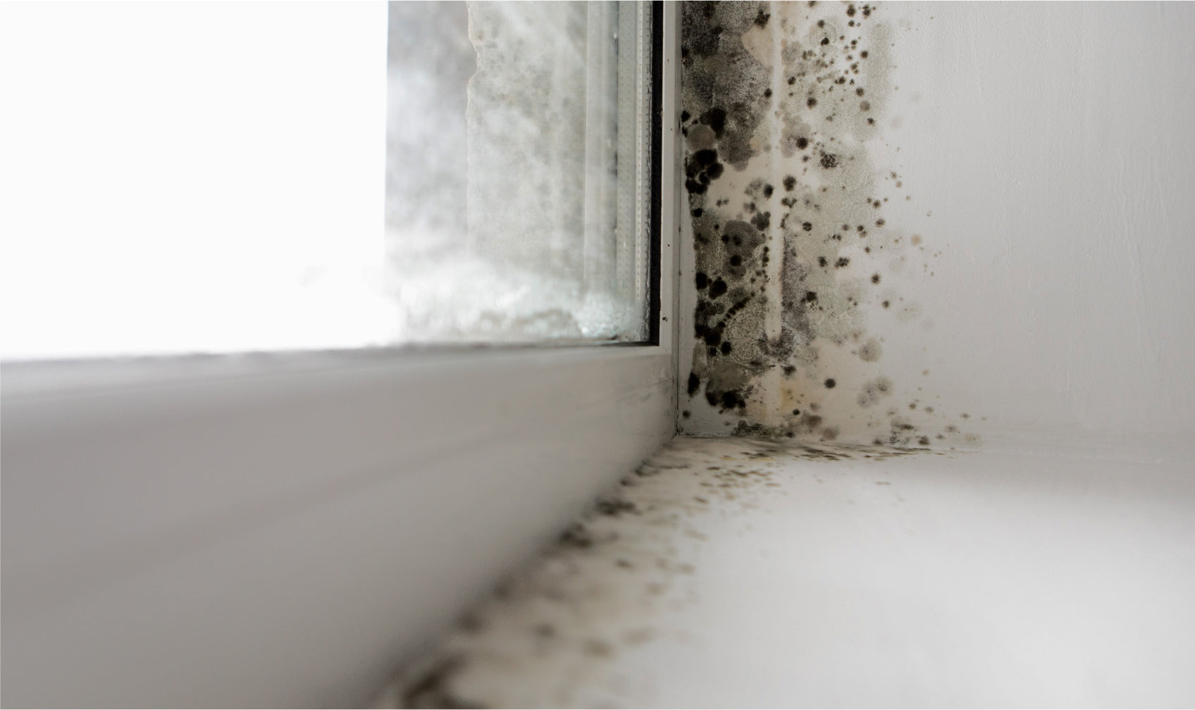 How to Choose a HEPA Filter Air Purifier for Mold Spores - Molekule