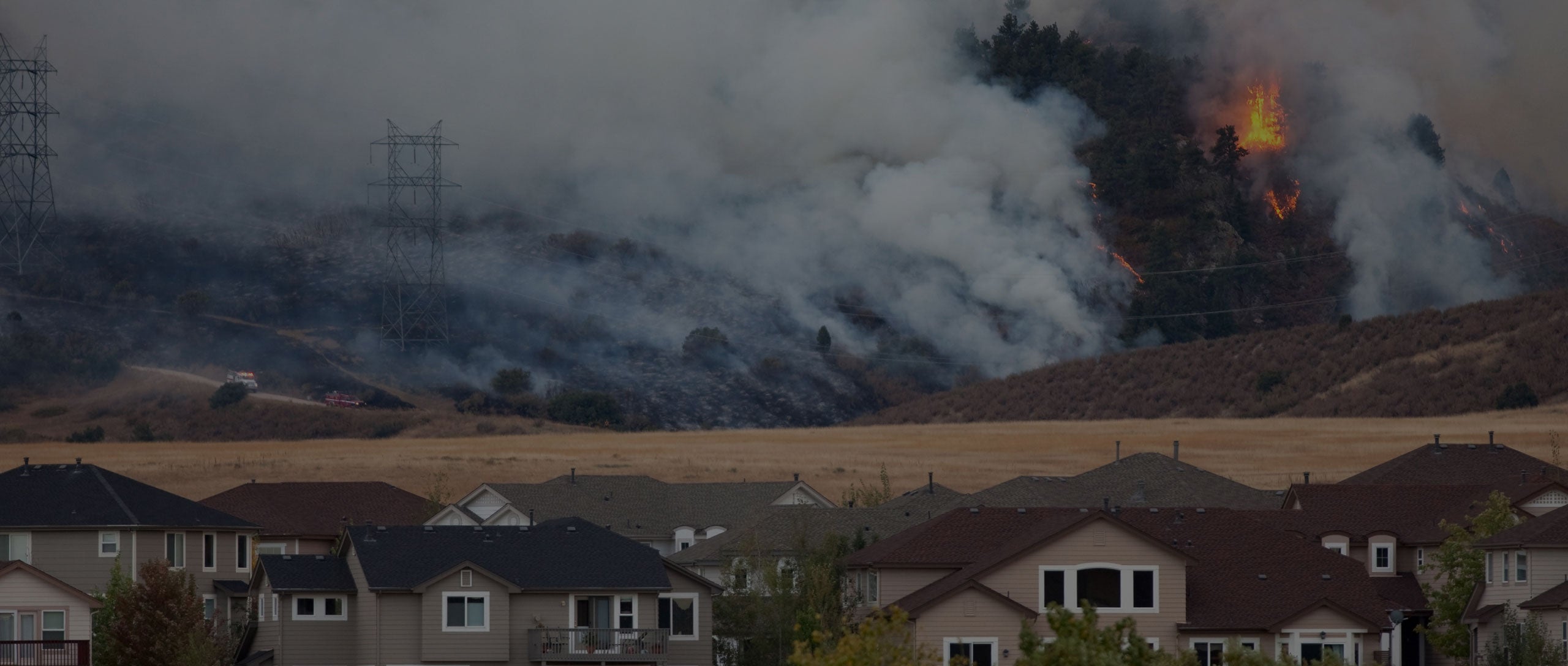 Health Effects of Wildfire Smoke & Household Air Pollution - Molekule
