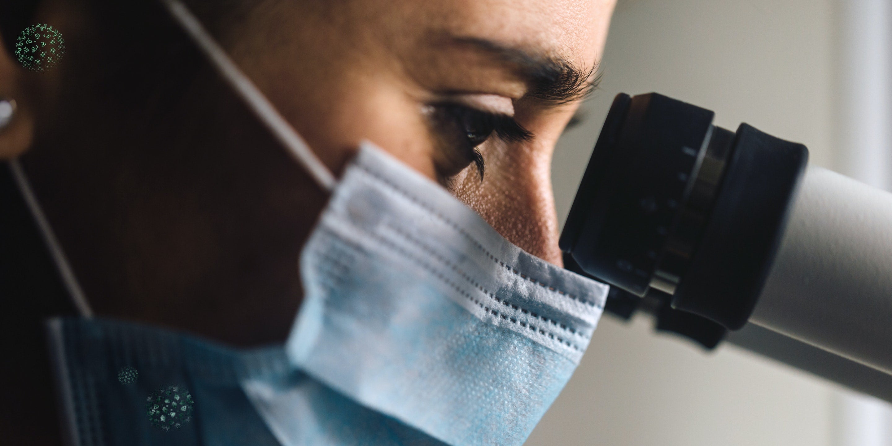 PECO Air Purification Filter Technology | How Does Molekule Work?