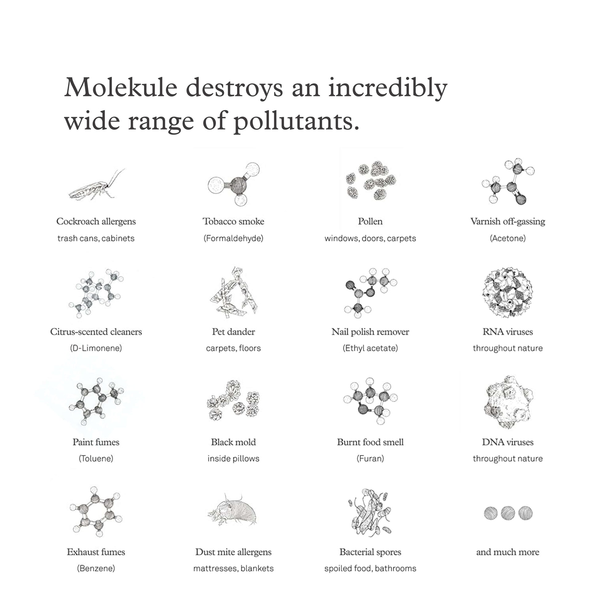 Molekule Air Pro Filter | FDA-cleared PECO-HEPA Replacement Filter